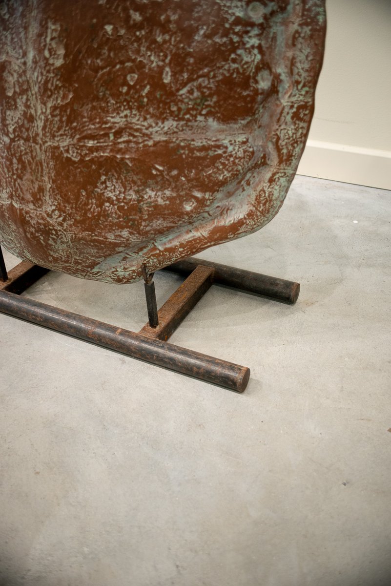 20th Century Fiber Turtle Shell Mold with Iron Support for sale at Pamono