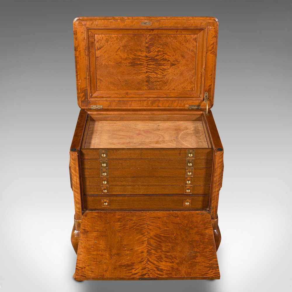 Antique Master Specimen Chest for sale at Pamono