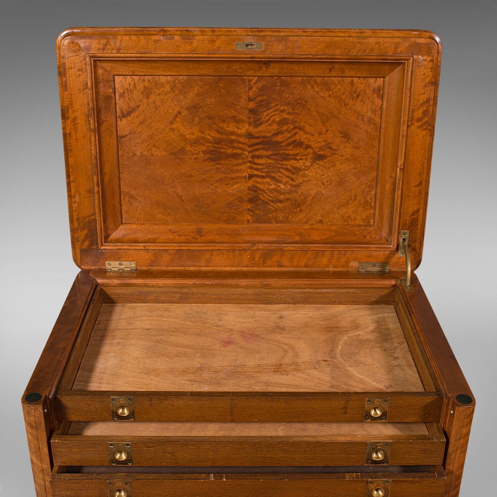 Antique Master Specimen Chest for sale at Pamono
