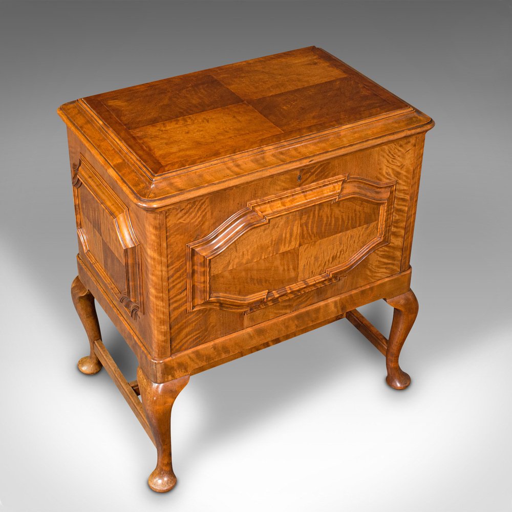 Antique Master Specimen Chest for sale at Pamono