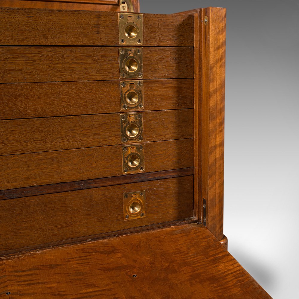 Antique Master Specimen Chest for sale at Pamono