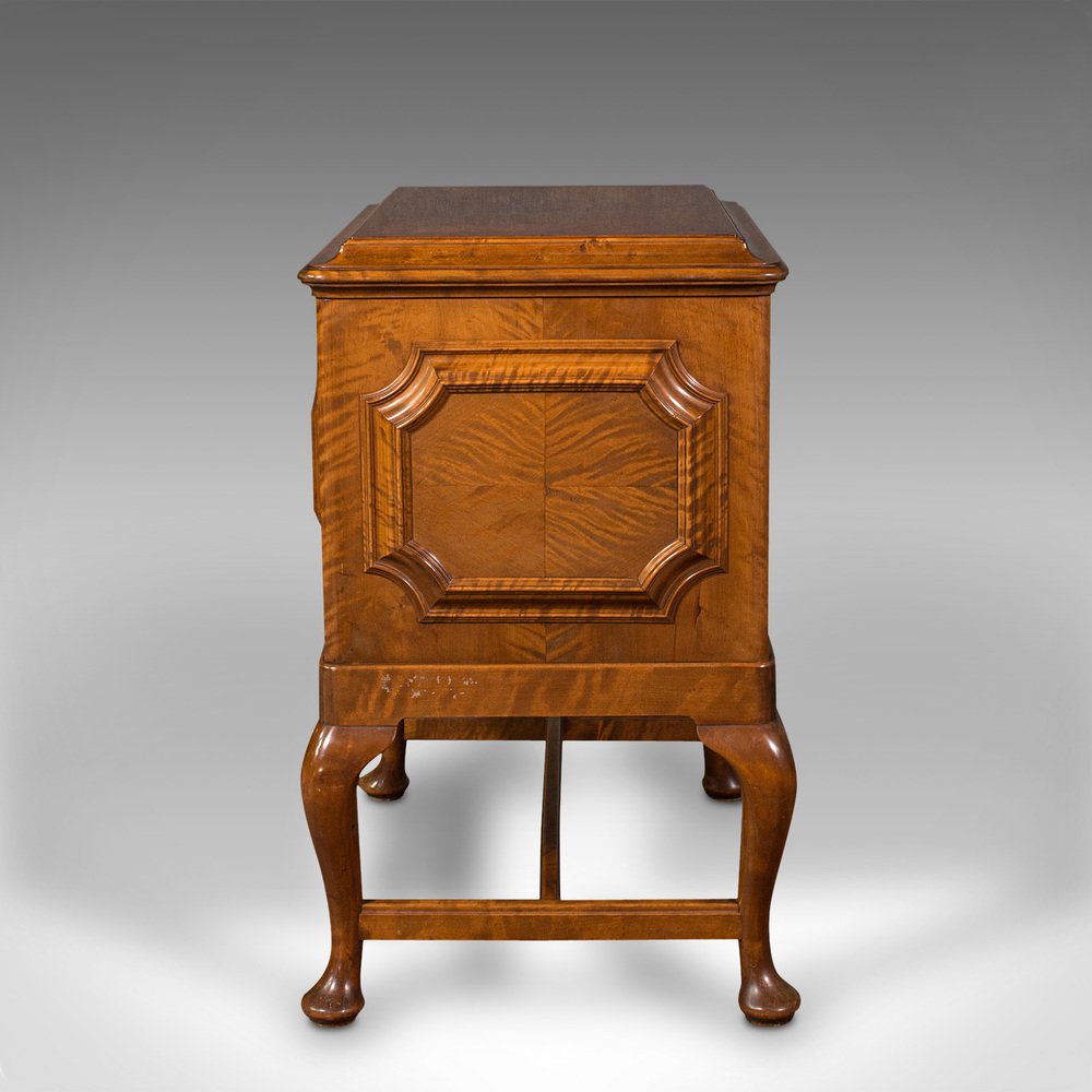 Antique Master Specimen Chest for sale at Pamono