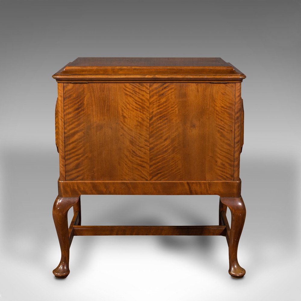 Antique Master Specimen Chest for sale at Pamono