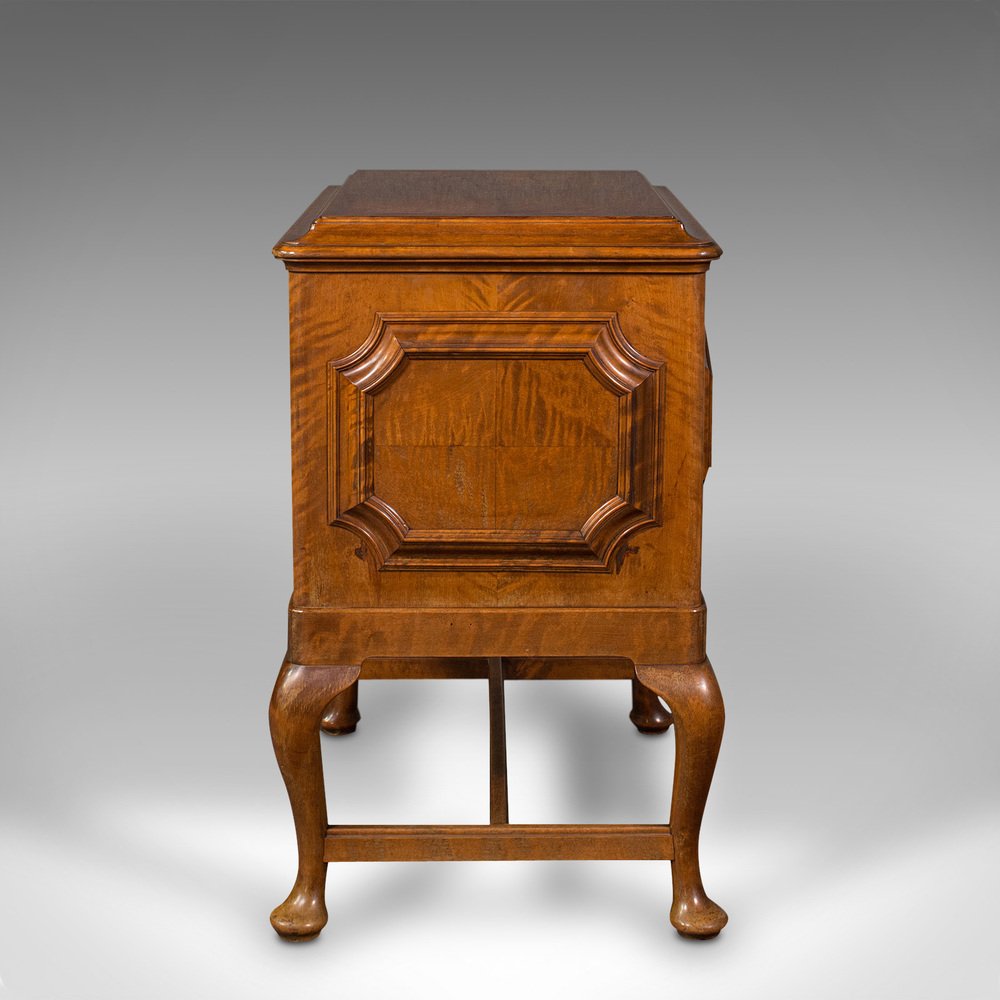 Antique Master Specimen Chest for sale at Pamono