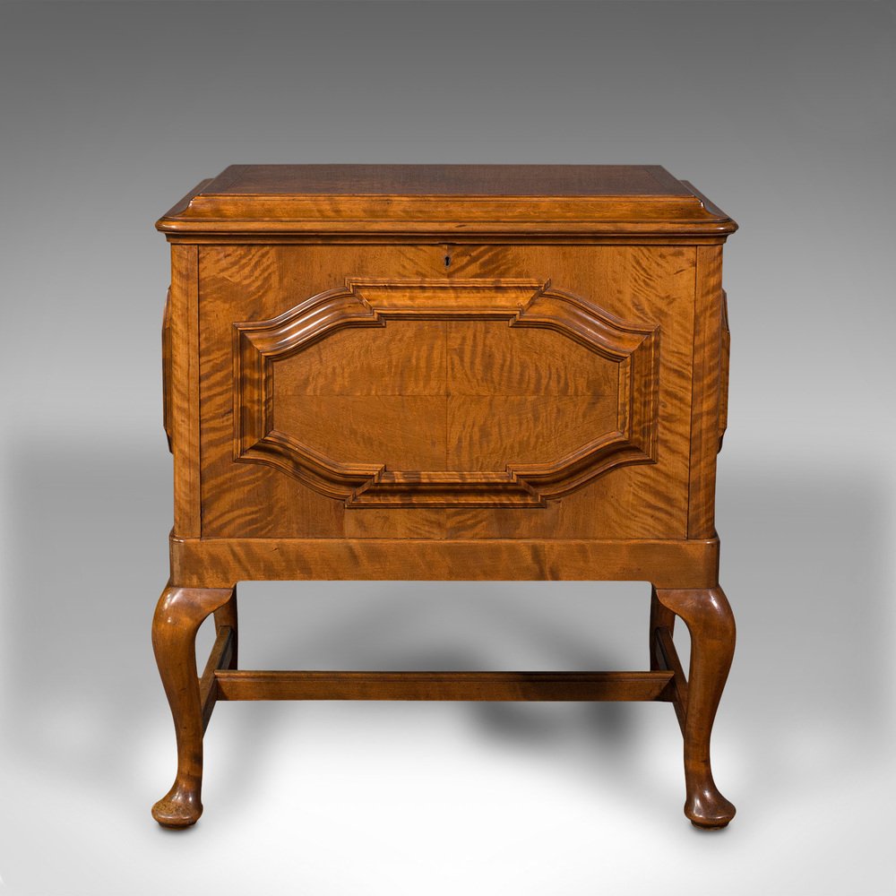 Antique Master Specimen Chest for sale at Pamono