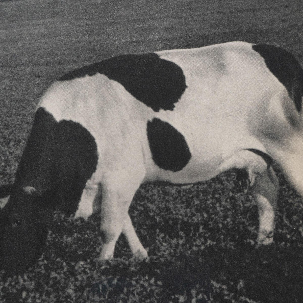 John B. Titcomb and Alfred Person, Rural Images, 1940, Photogravure for ...