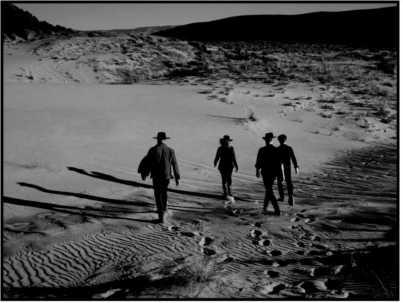 Kevin Westenberg, Luna Moss, Archival Pigment Print, 2015 for sale at ...