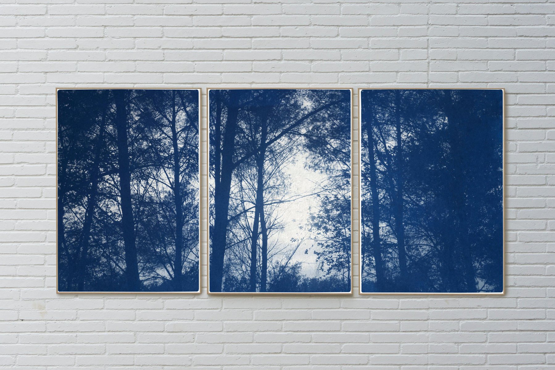 Kind of Cyan, Forest Silhouette Sunset, 2021-2022, Cyanotype sur Papier ...