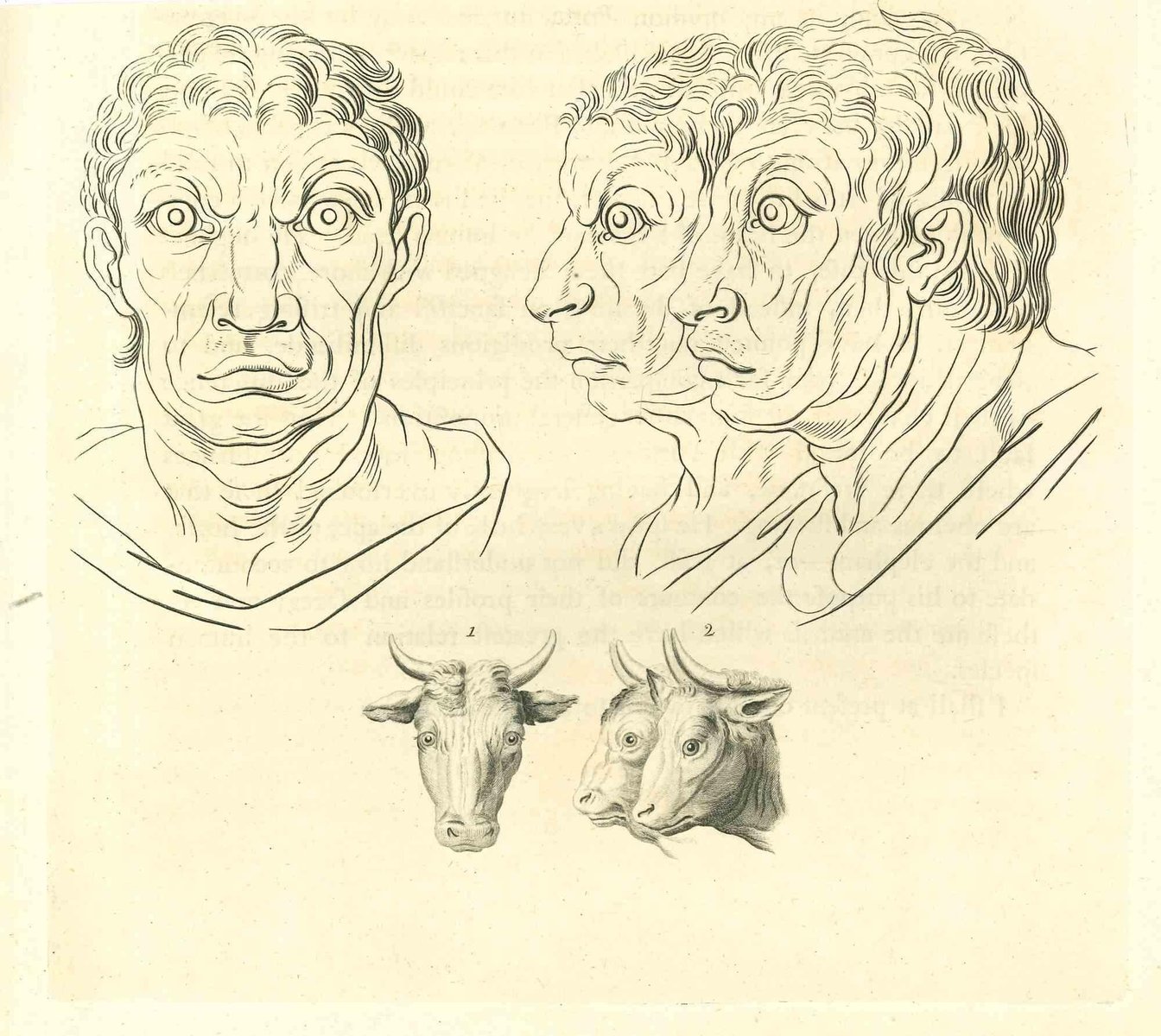 Thomas Holloway, The Physiognomy: The Faces, Original Etching, 1810 for ...