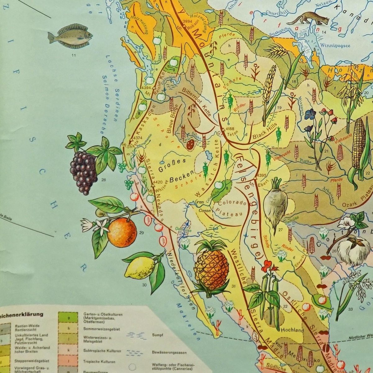 North America Land Use and Livestock Picture Map, 1970s for sale at Pamono
