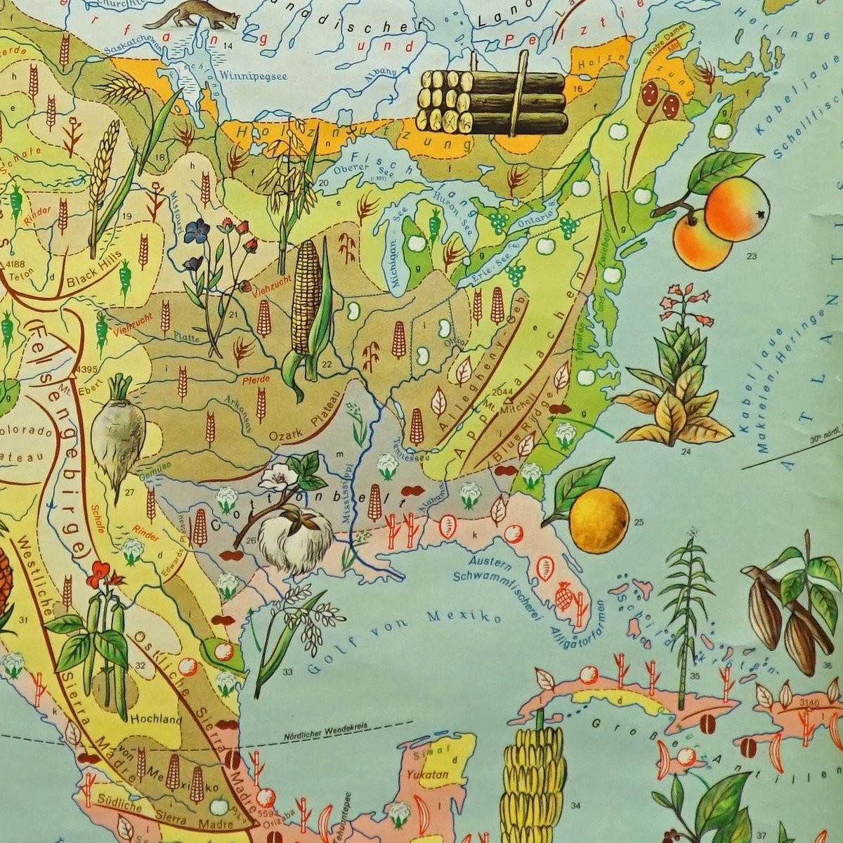 North America Land Use and Livestock Picture Map, 1970s for sale at Pamono