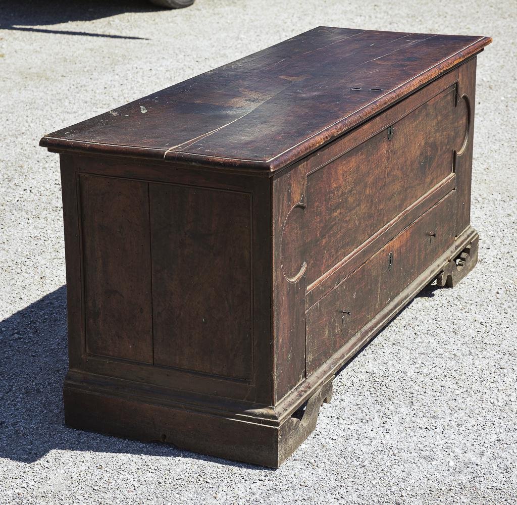 Walnut Chest with Drawer, Decorative Frames and Latches, 1800s for sale ...