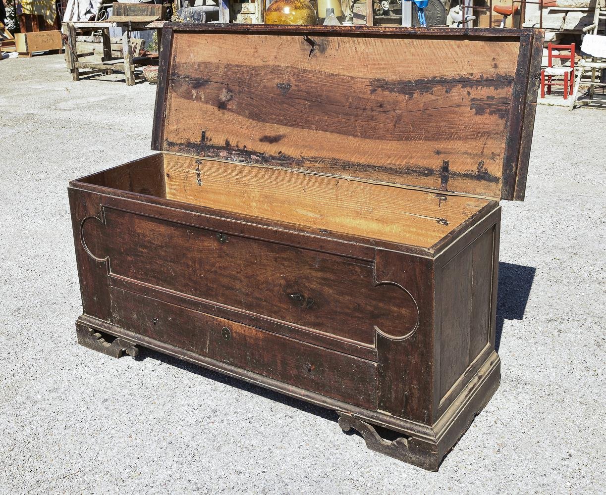 Walnut Chest with Drawer, Decorative Frames and Latches, 1800s for sale ...