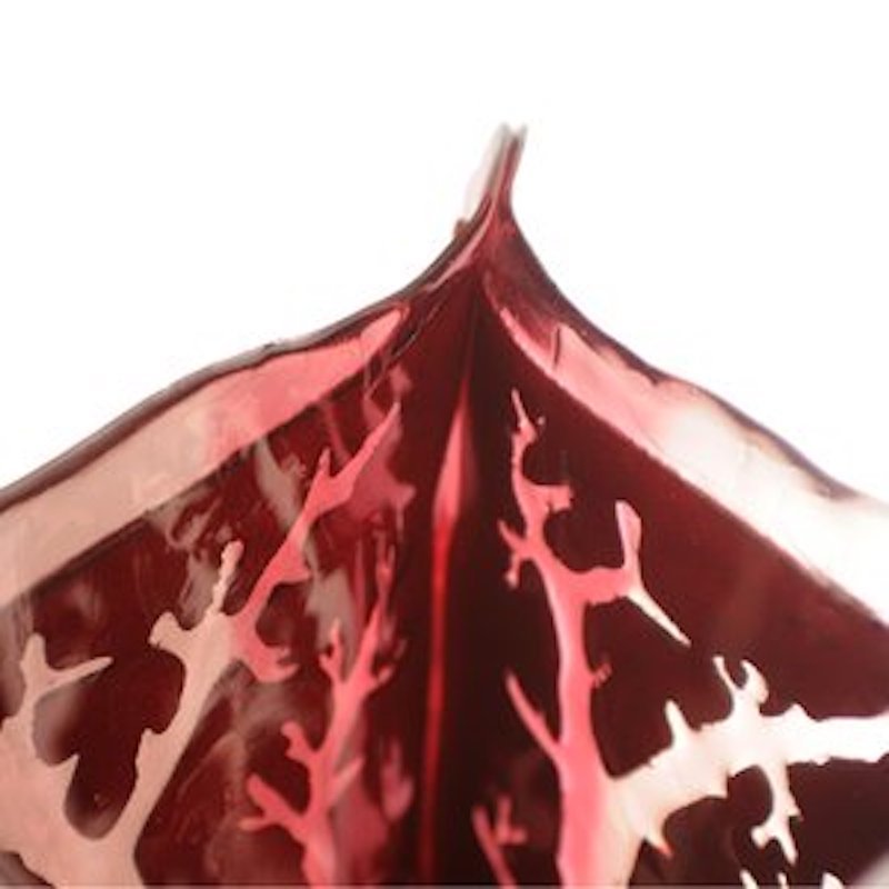 Cerrado Vase in Clear Pink and Red Leather by Fernando & Humberto ...