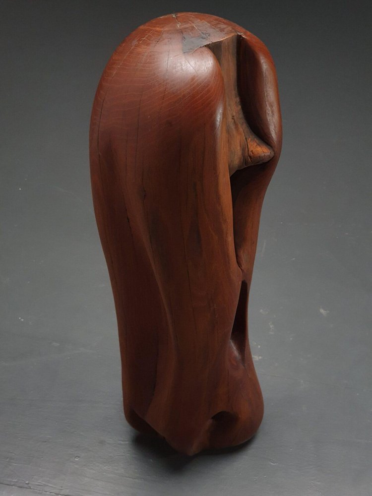 Large Amorphous Sculpture, 1960s, Wood for sale at Pamono