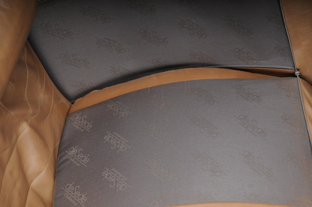 DS50 Lounge Chair & Ottoman in Leather from de Sede, Switzerland, 1970s ...