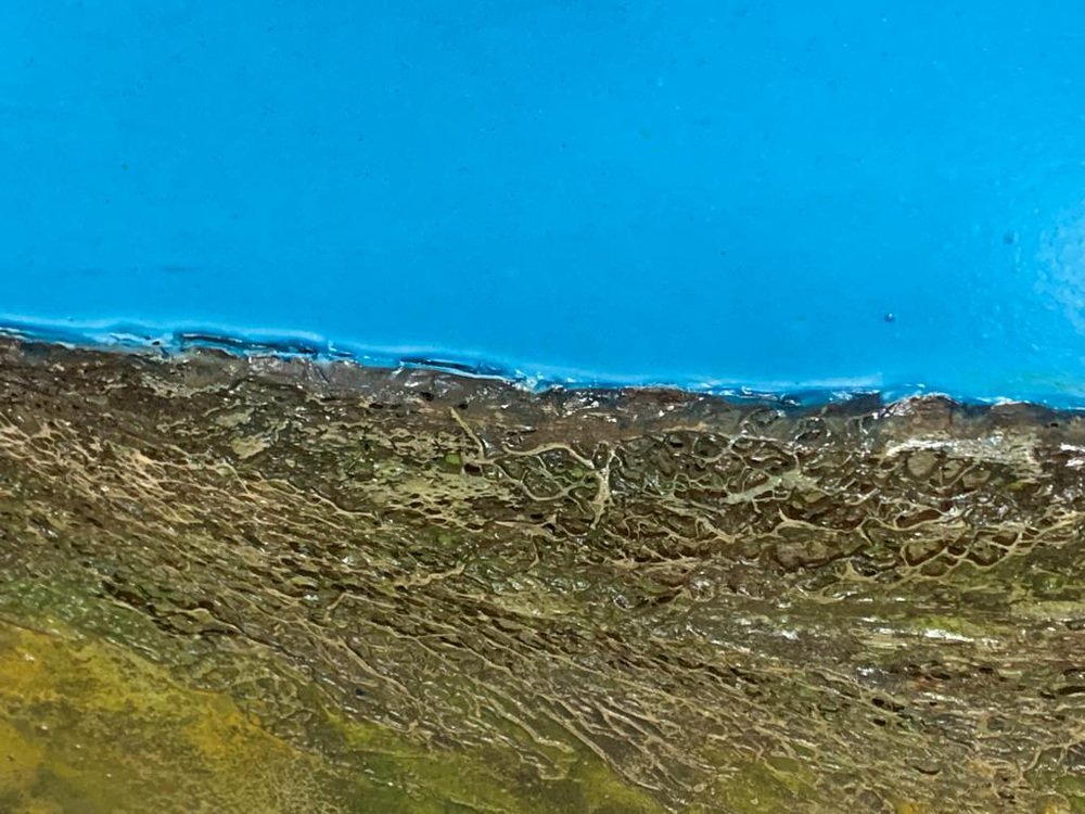 Stefano Bersani, Botanicum Composition with Collected Roots, 2014 ...