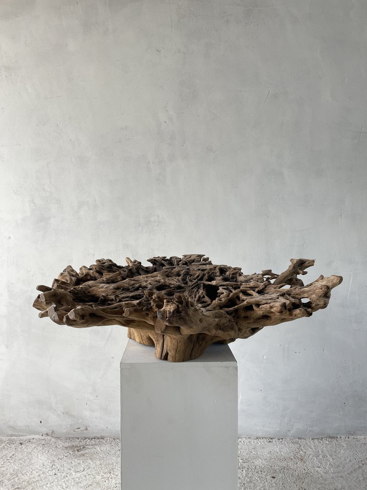 Vintage Japanese Sculptural Root for sale at Pamono