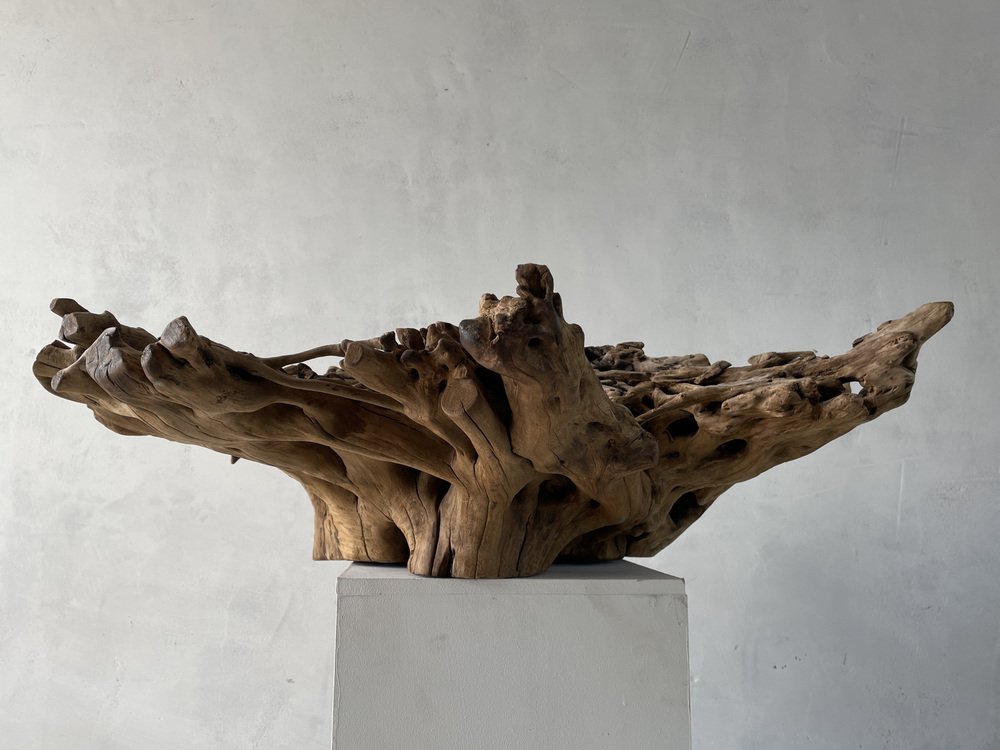 Vintage Japanese Sculptural Root for sale at Pamono