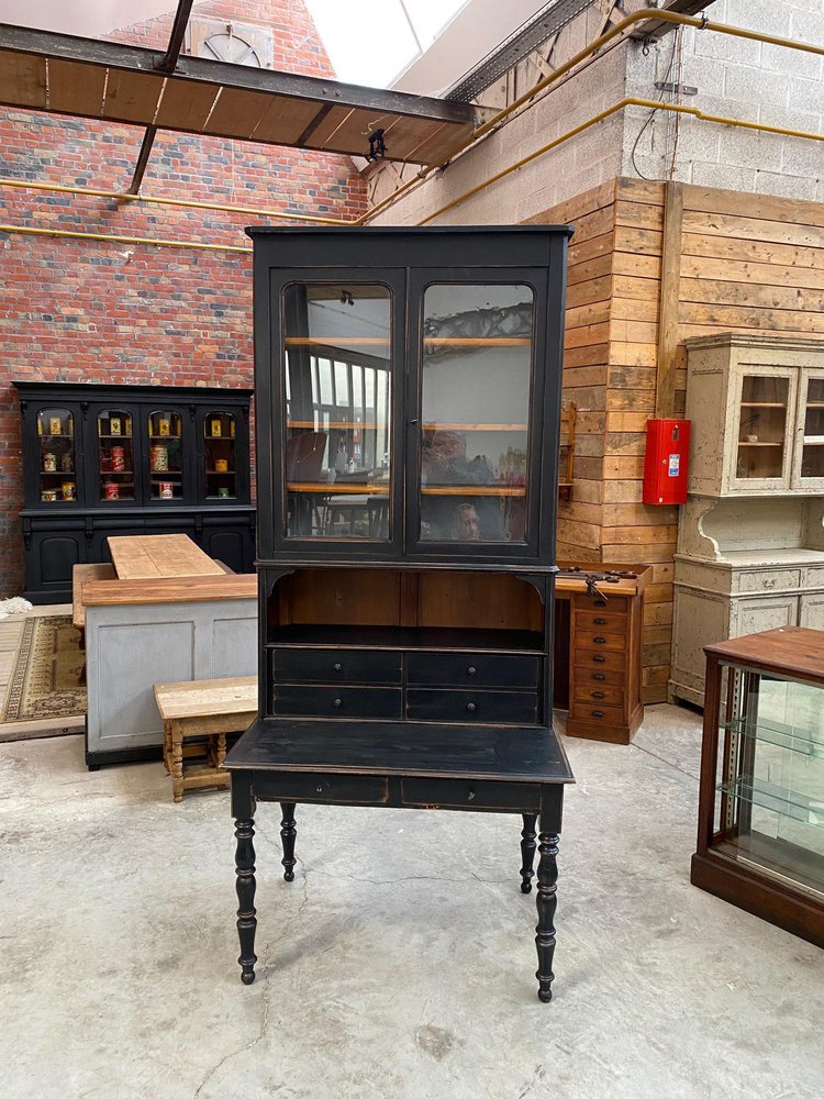 Antique Showcase Cabinet, 1890s for sale at Pamono