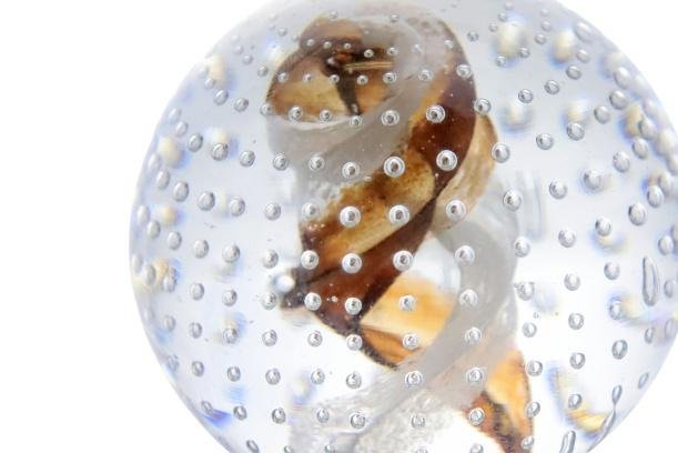 Vintage Paperweight by A. Jablonski, Poland for sale at Pamono