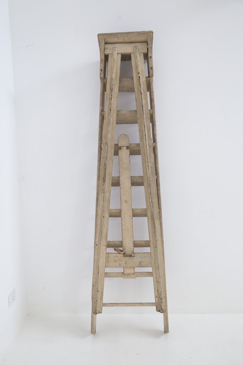 Antique Italian Beige Wood Ladder, 1920s for sale at Pamono