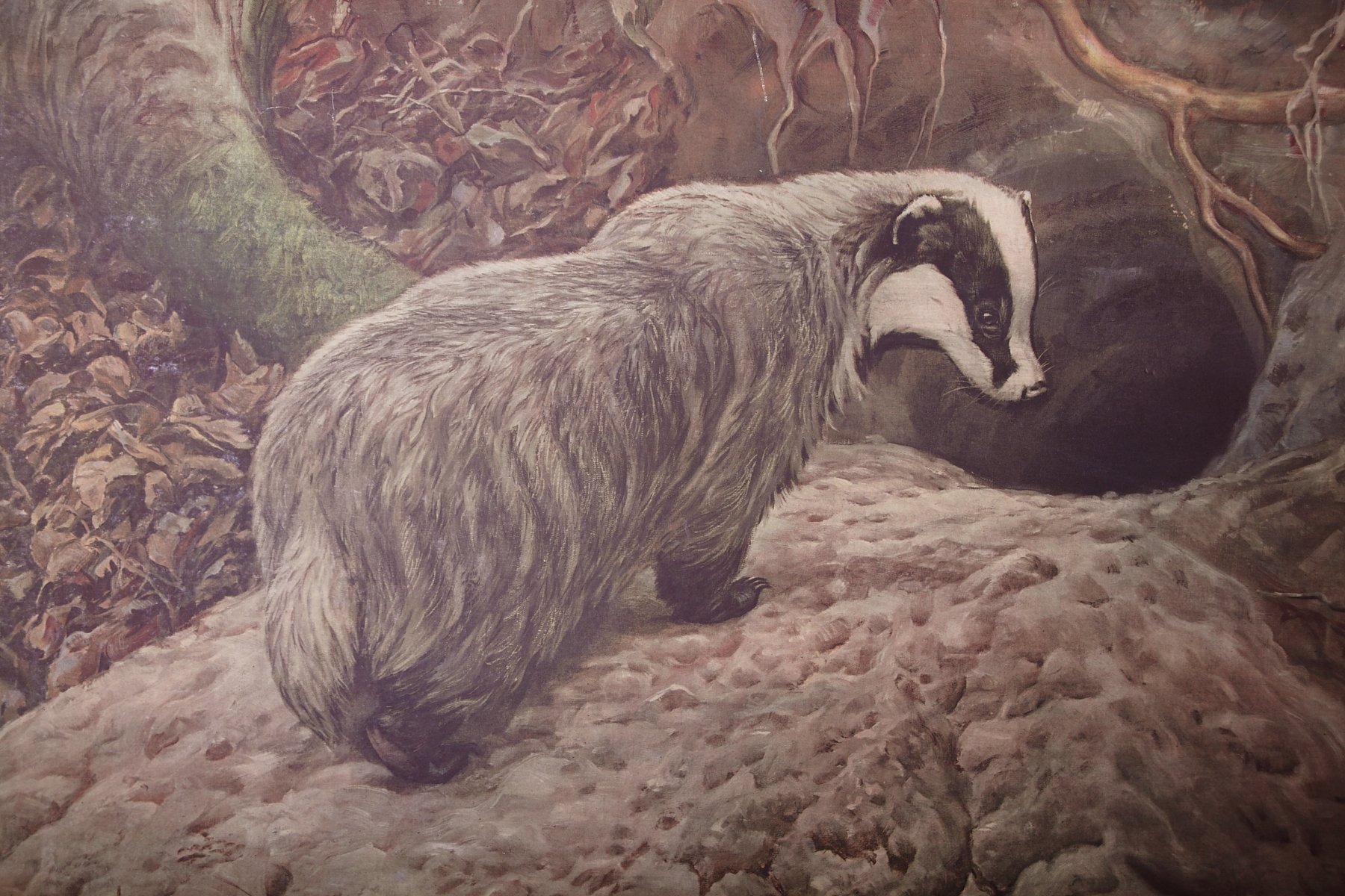 Badger School Poster, 1920s for sale at Pamono