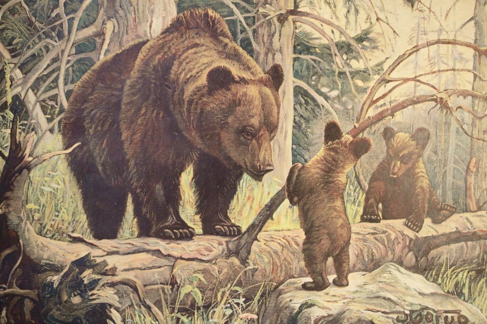 Bear and Cubs School Poster, 1920s for sale at Pamono