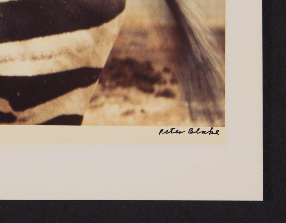 Peter Blake, Zebra, London Zoo, 1980, Chromogenic Photographic Print ...