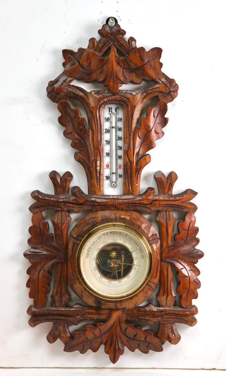 French Model 9432 Barometer with Thermometer in Carved Wood, 1910s for ...