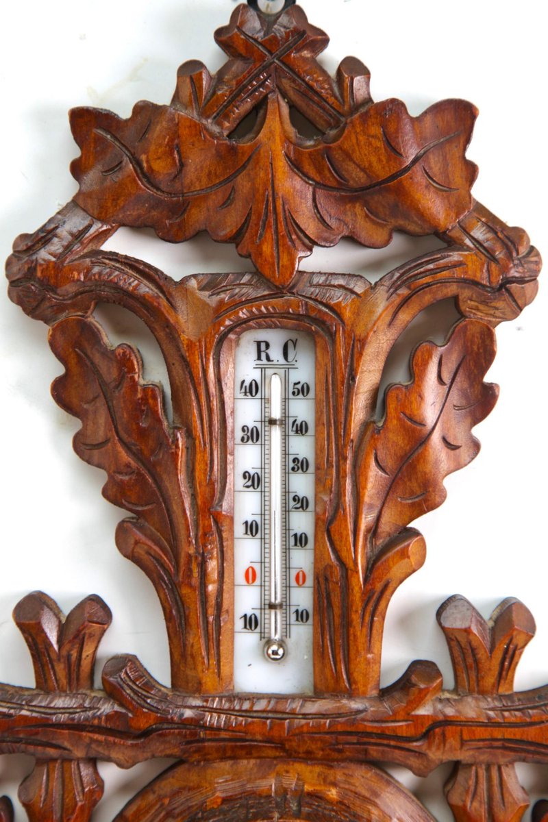French Model 9432 Barometer with Thermometer in Carved Wood, 1910s for ...