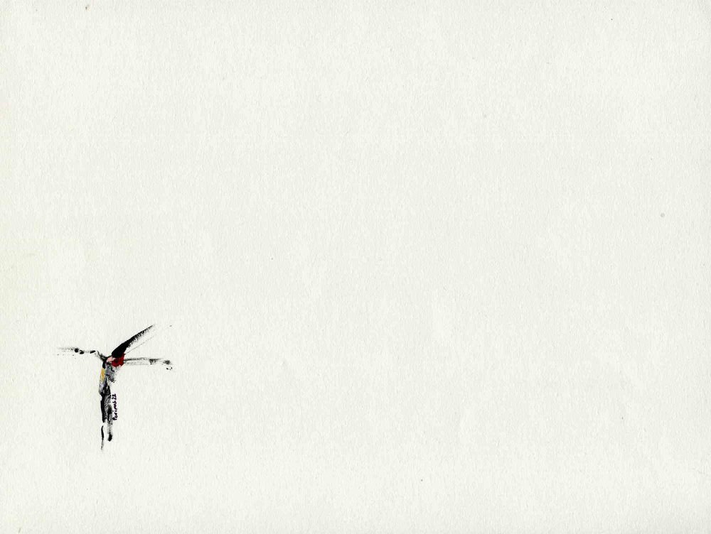 Parimah Avani, The Blossom of Freedom, China Ink and Acrylic Drawing ...