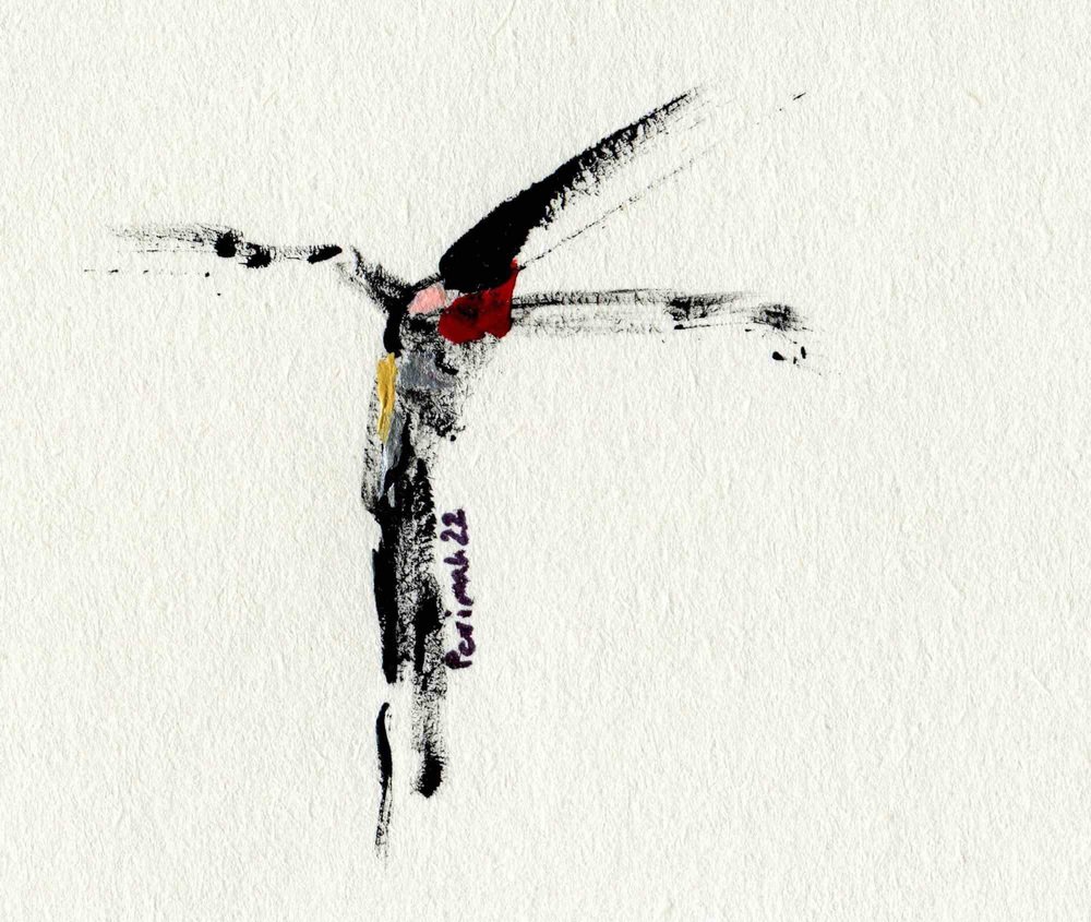 Parimah Avani, The Blossom of Freedom, China Ink and Acrylic Drawing ...