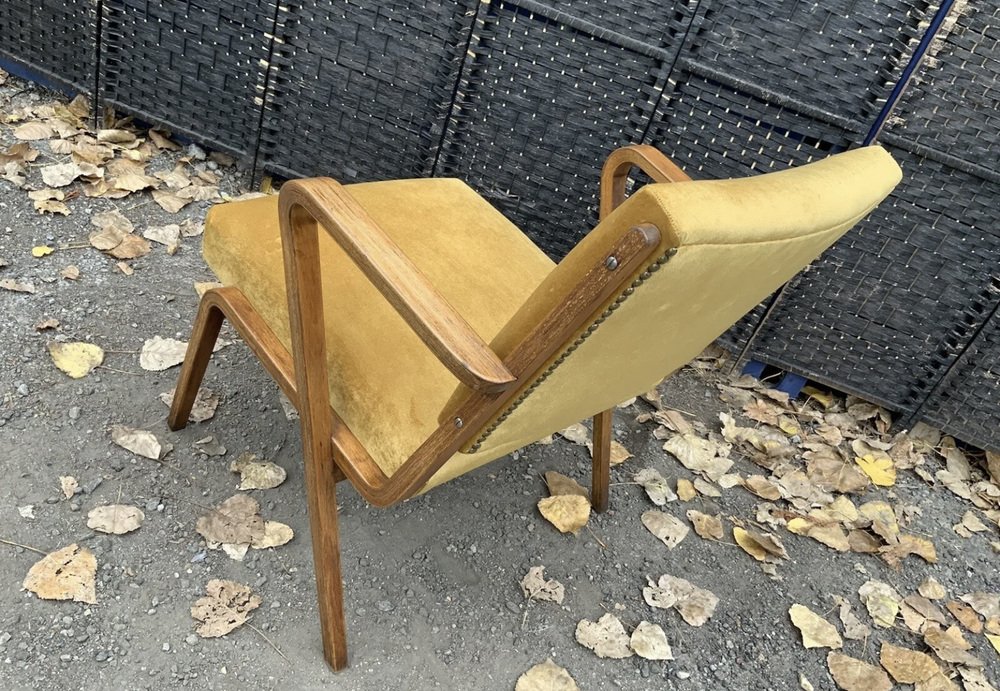 Bauhaus Easy Chair by Selman Selmanagic for VEB Deutsche Werkstätten ...