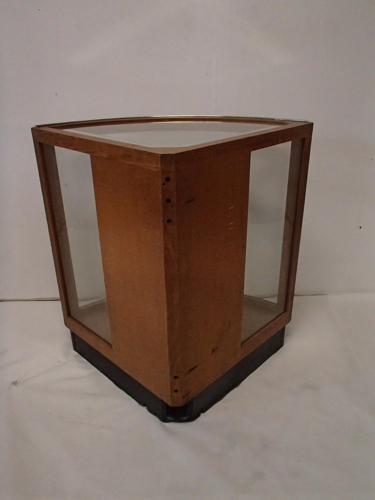 Bauhaus Corner Display Case with Adjustable Glass shelves and Lighting ...