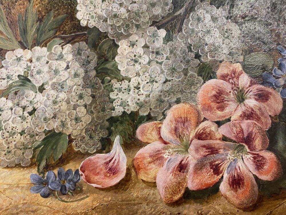 Vincent Clare, Botanical Still Life, 1890s, Oil on Canvas for sale at ...