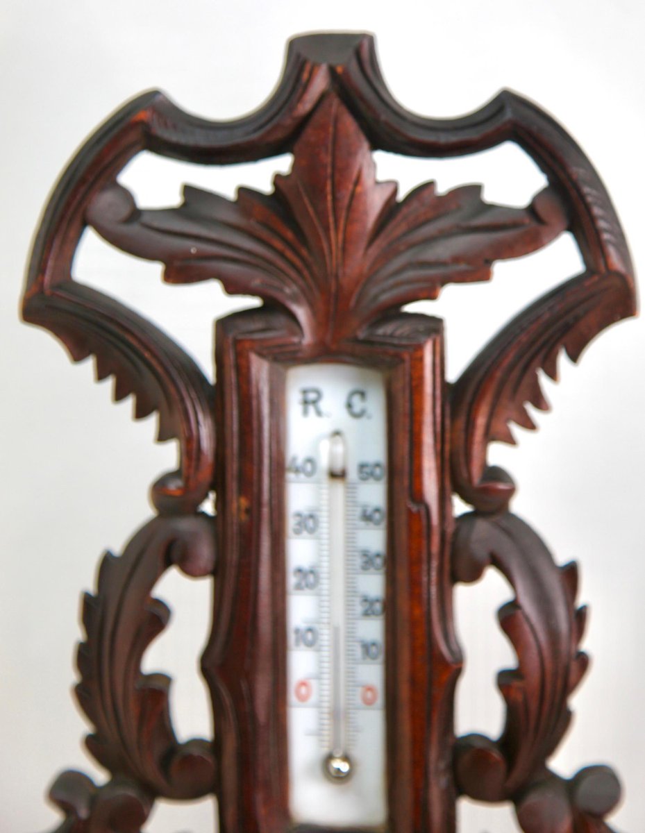 Art Nouveau Carved Walnut Wall-Mounted Weather Station, 1910s for sale ...