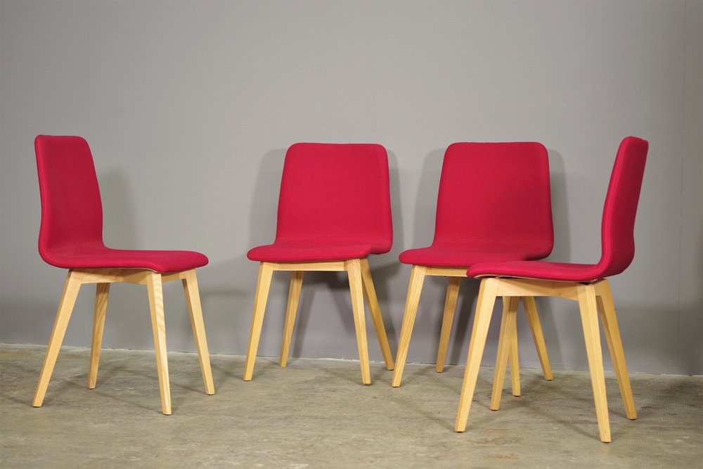 Modern Maple Chairs, 2010s, Set of 4 for sale at Pamono