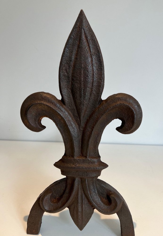 Chenets with Cast Iron and Wrought Iron Lilies, 1970s, Set of 2 for ...