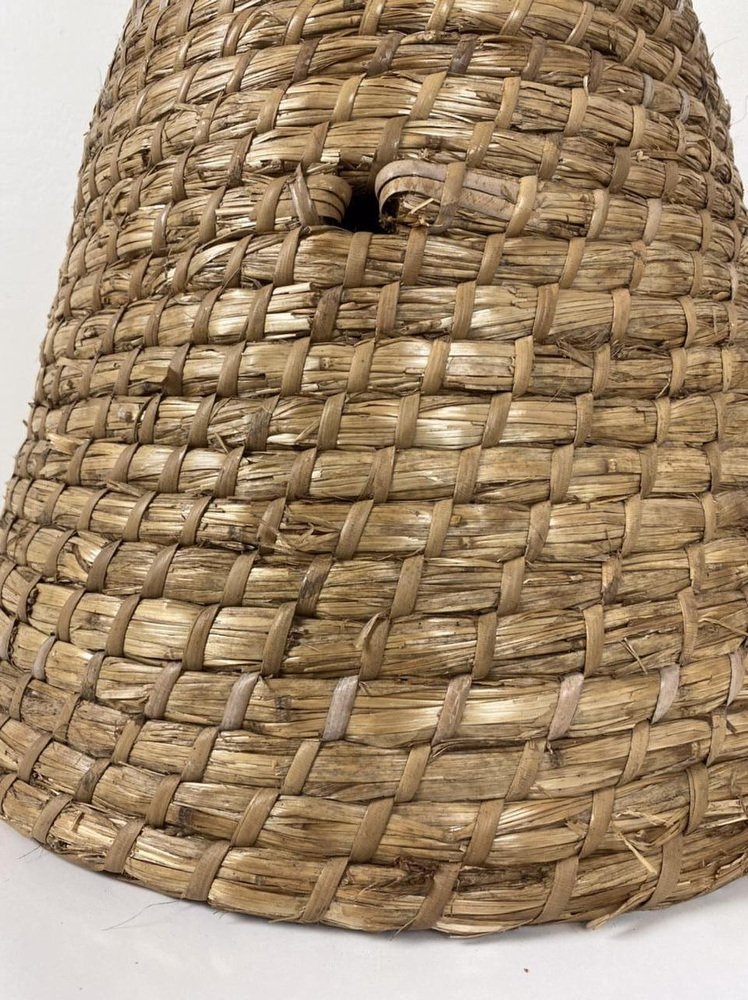 19th Century French Straw Domed Bee Hive for sale at Pamono