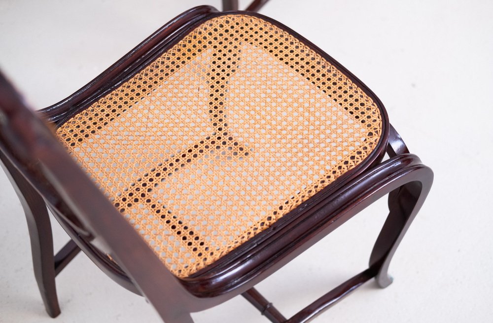 Set of Art Nouveau Dining Chairs from Jacob & Josef Kohn, 1890s for ...