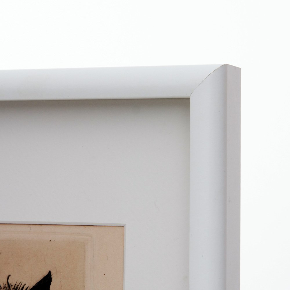 Kath Paul, Rame con cane Schnauzer, Schnauzerl, inizio XIX secolo, Carta, Con cornice in vendita ...