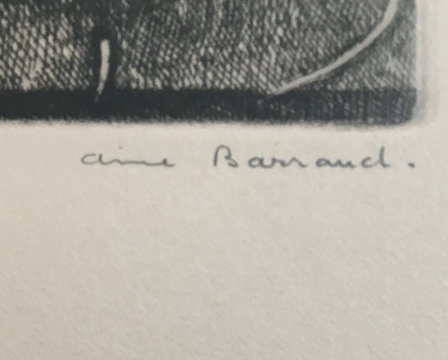Aimé Barraud, Les pommes, Etching for sale at Pamono