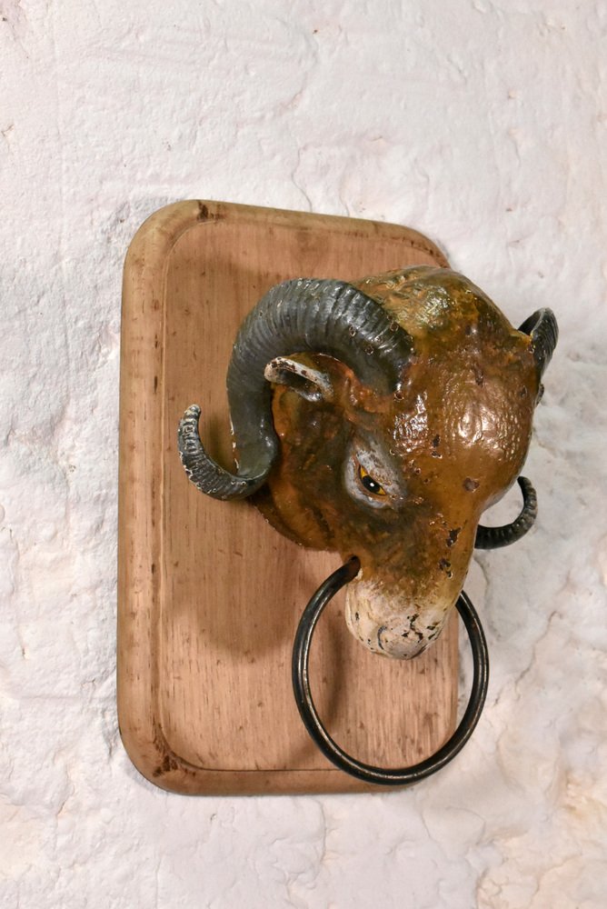 Antique French Rams Head from Butchers Shop, 19th Century for sale at ...