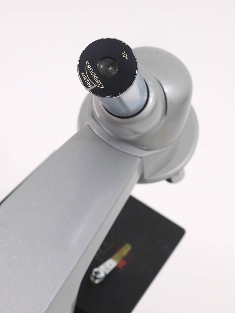 Neopan Microscope attributed to Carl Aubock, Reichert, Vienna, 1960s ...