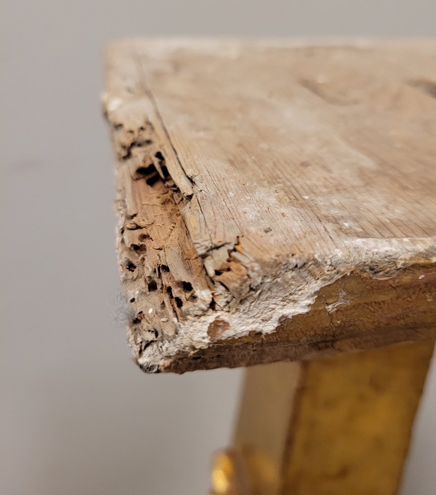 Baroque Altar Stipe or Pedestal in Carved and Gilded Wood, 17th-18th ...