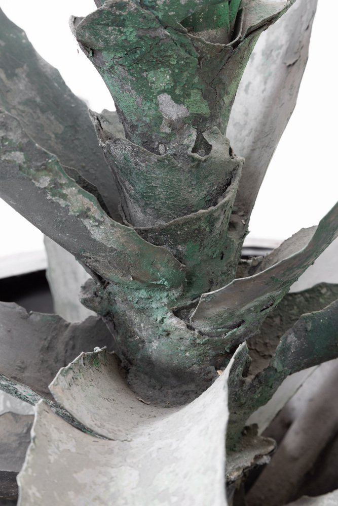 Iron Agave Plant Sculpture, 18th Century for sale at Pamono