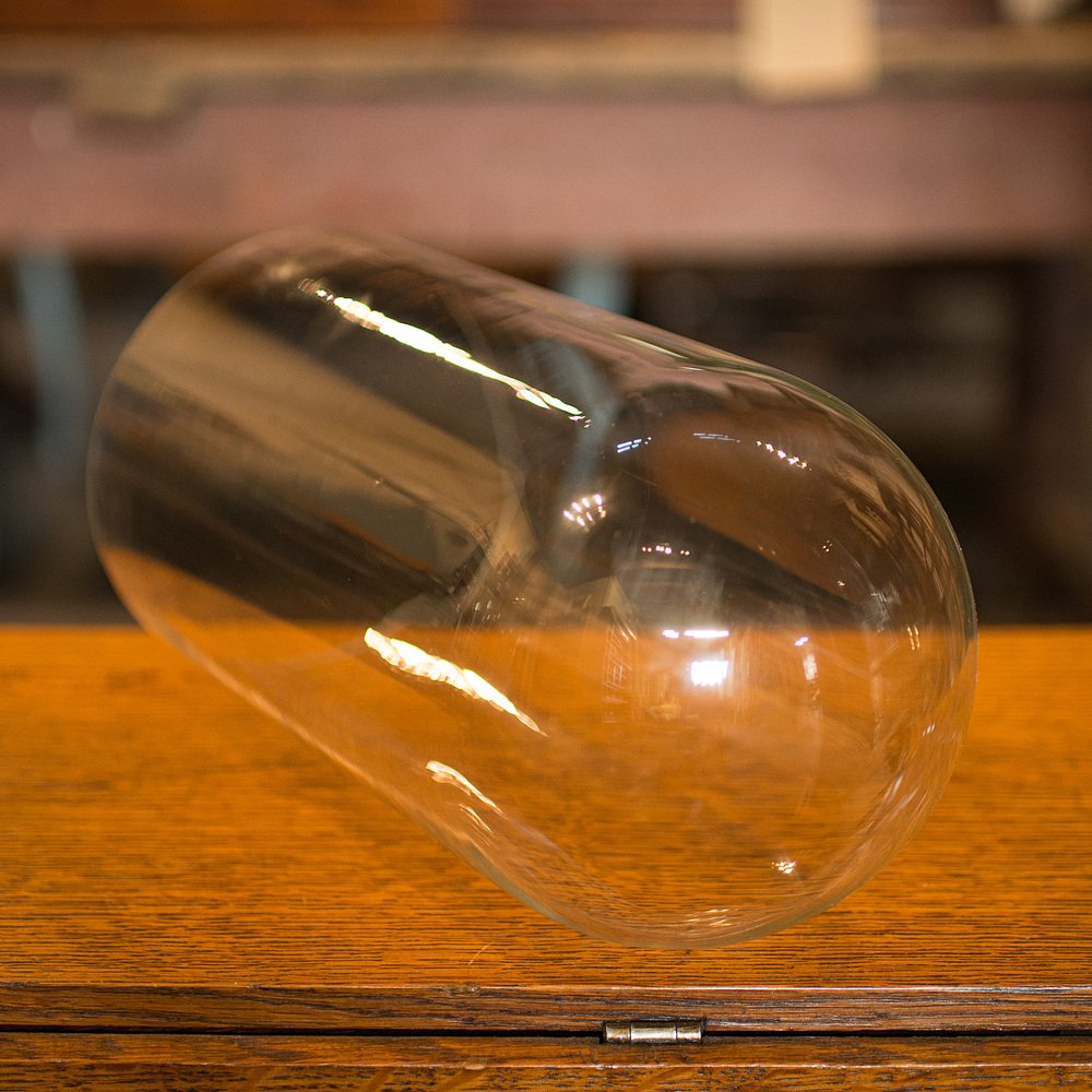English Display Dome in Glass & Beech, 1900s for sale at Pamono