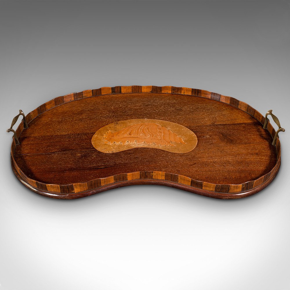 English Regency Butlers Serving Tray, 1820s for sale at Pamono