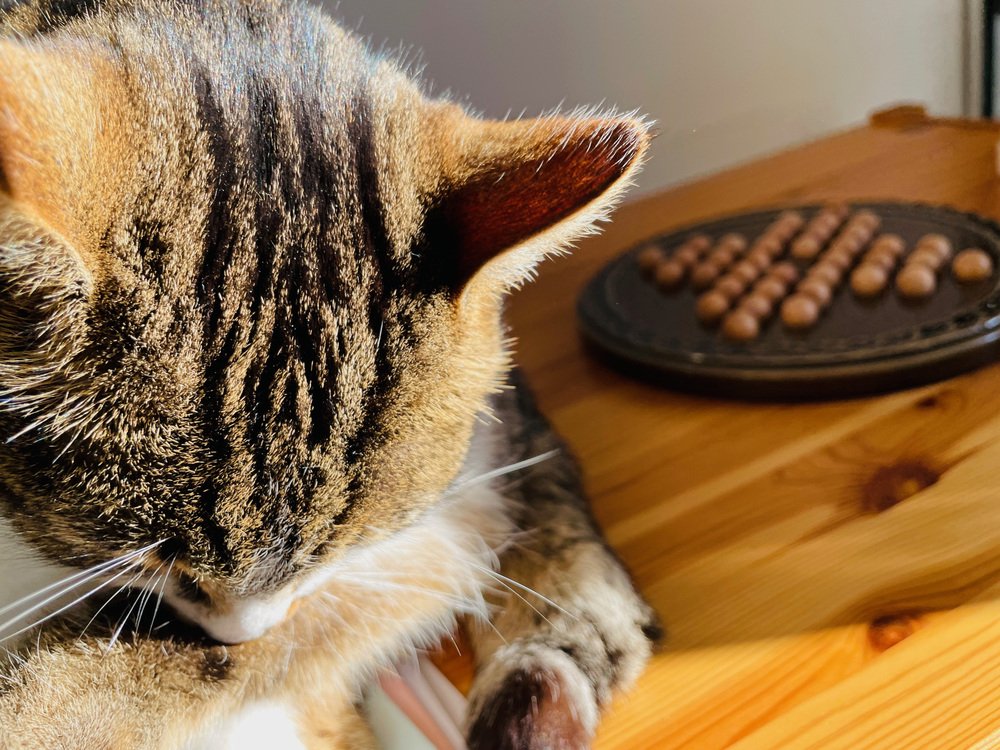Vintage Ceramic Game by Bjorn Wiinblad for Rosenthal Keramik, 1970 for ...